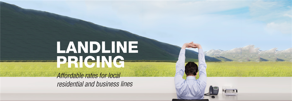 Union Wireless. Landline rates